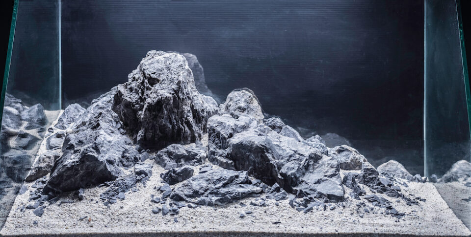 What Is Iwagumi Aquascaping - Japanese Aquascape Design